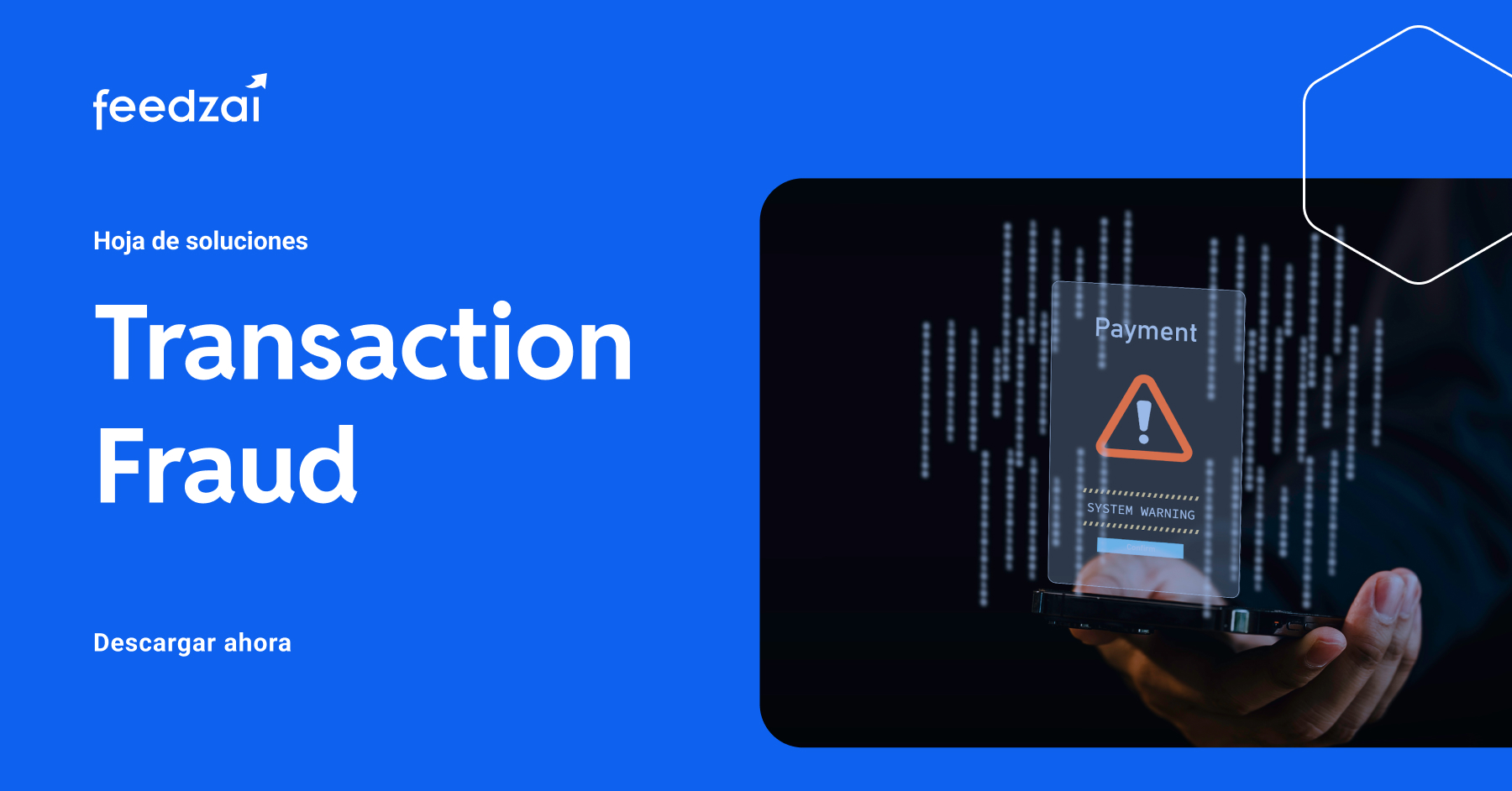 Resumen de la solución de Transaction Fraud for Banks | Feedzai