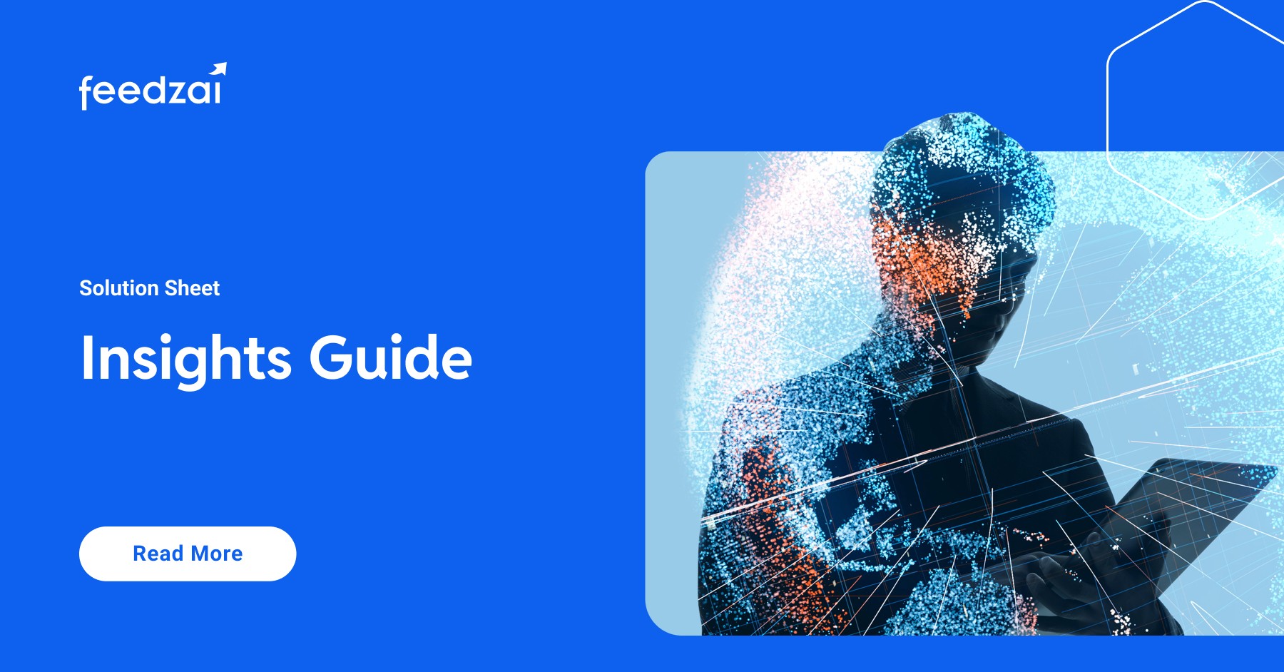 Global Instant Payment Lessons for North American Banks | Feedzai