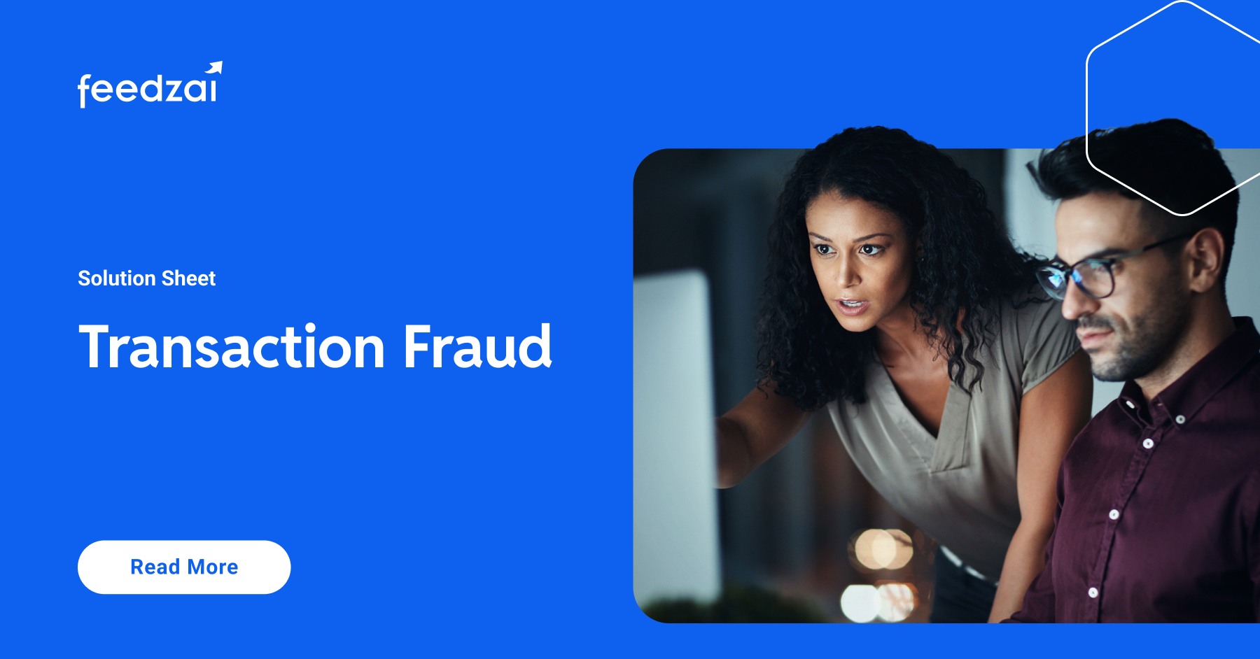 Transaction Fraud for Retail Banks Solution Sheet | Feedzai