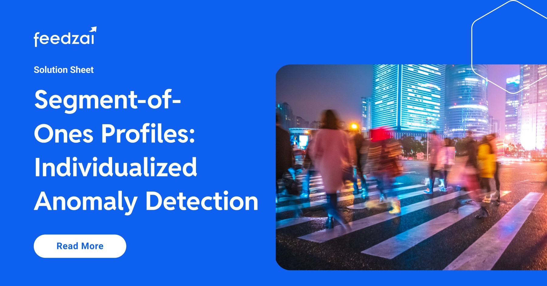 Individualized Anomaly Detection with Segment-of-One Profiles | Feedzai
