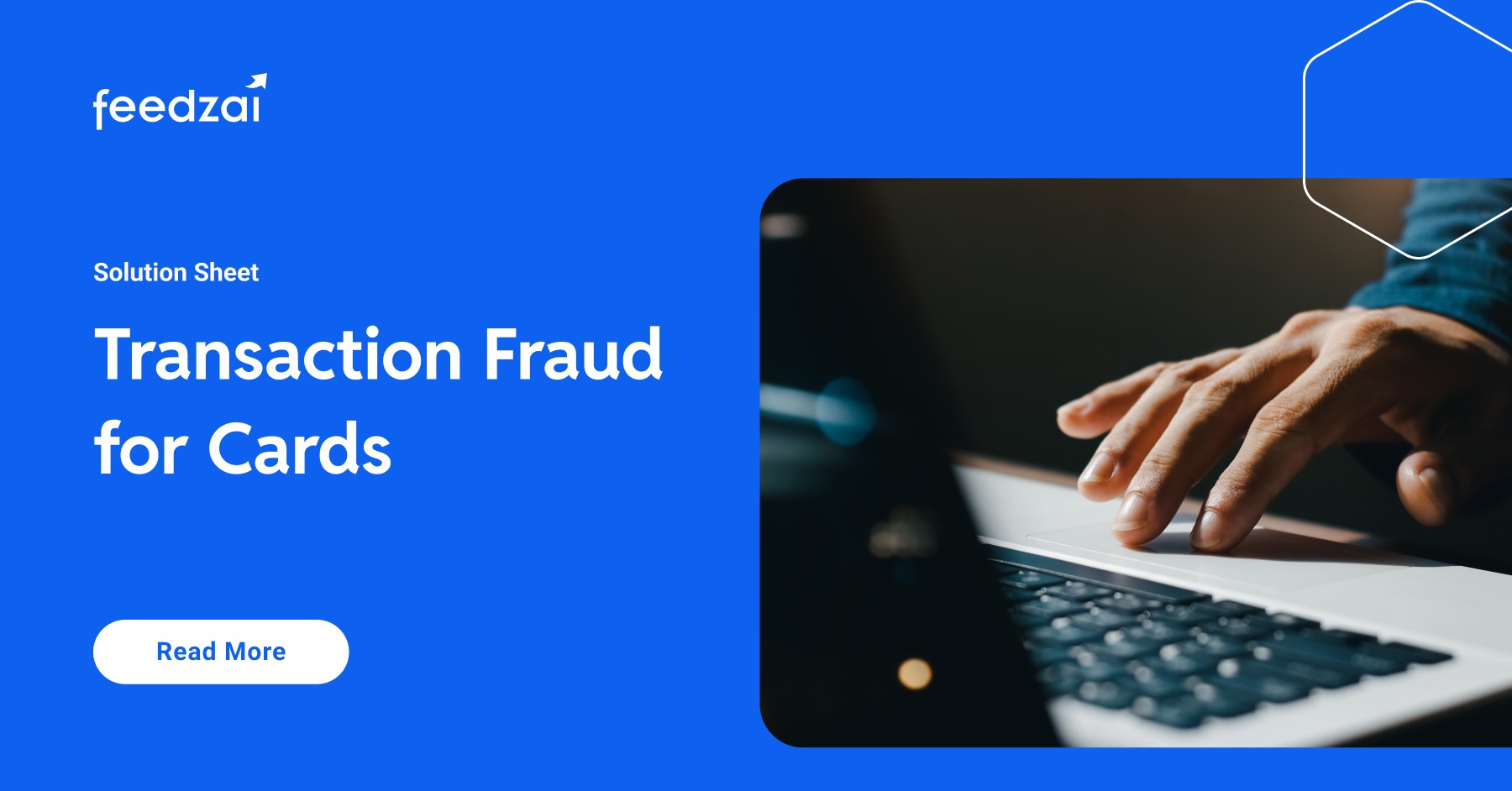Transaction Fraud for Cards Solution Sheet | Feedzai