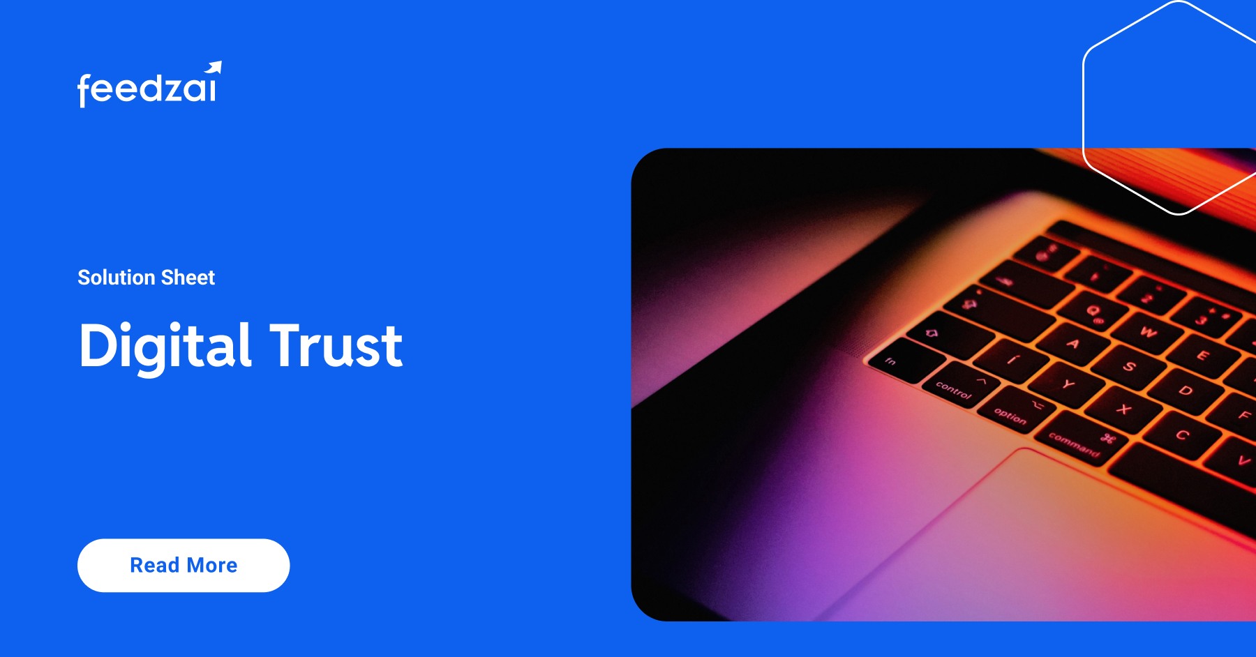 Digital Trust | Feedzai