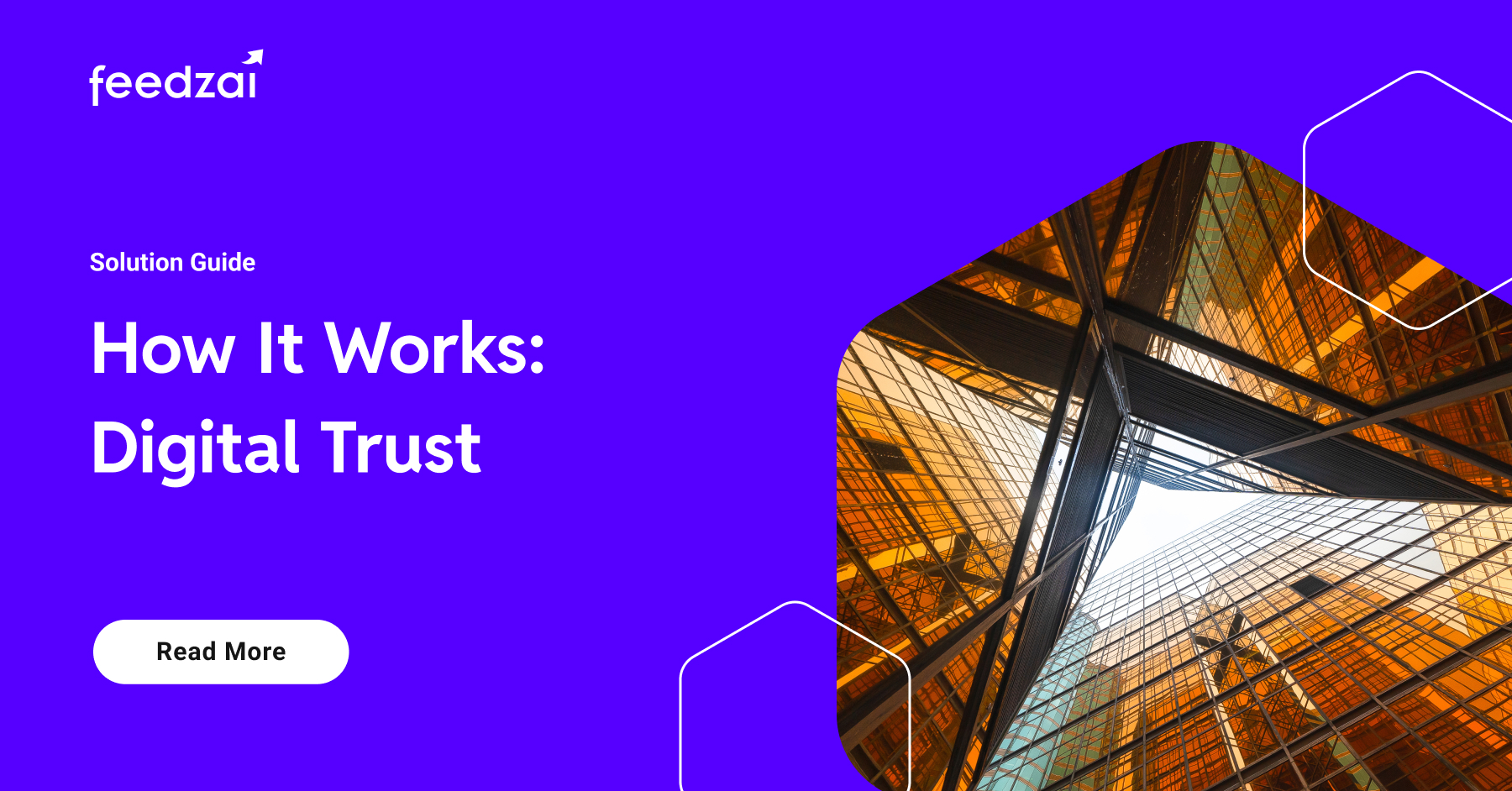 How it Works: Digital Trust | Feedzai