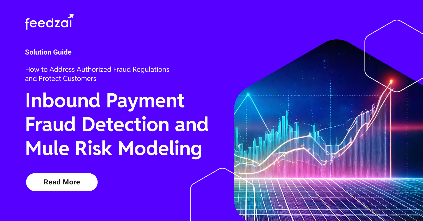 Inbound Payment Fraud Detection & Mule Risk Modeling: Protect Your ...