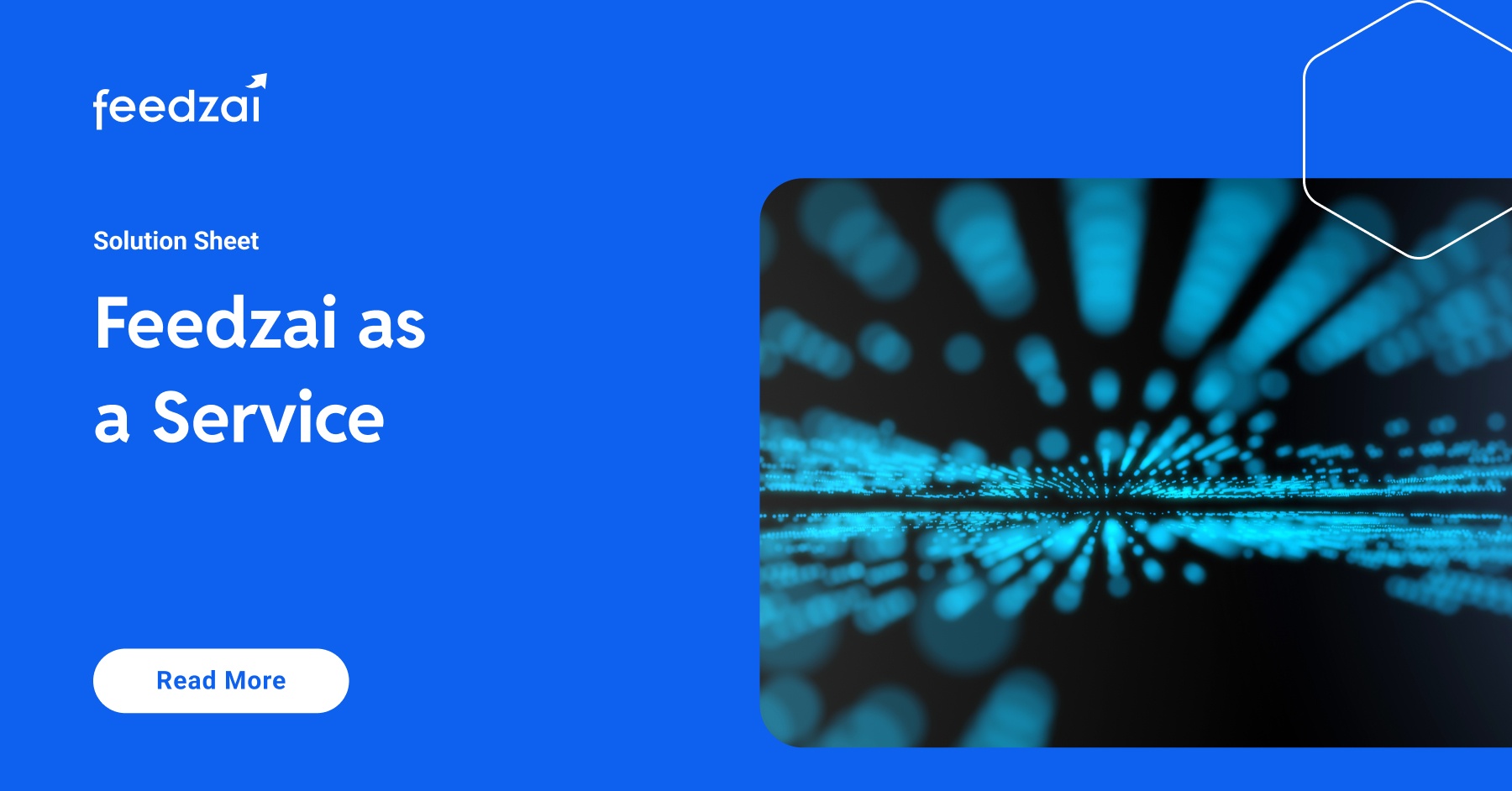 Feedzai as a Service Solution Sheet | Feedzai