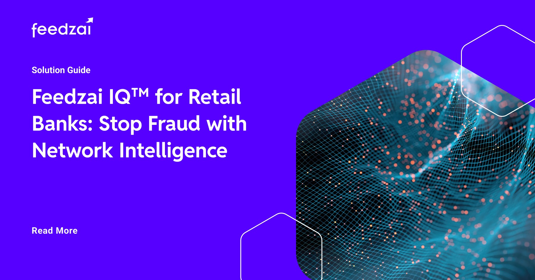 Feedzai IQ™ for Retail Banks: Stop Fraud with Network Intelligence ...